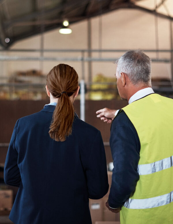 Sphering - Apros: flues, flue accessories, painted pipes for wood and ...